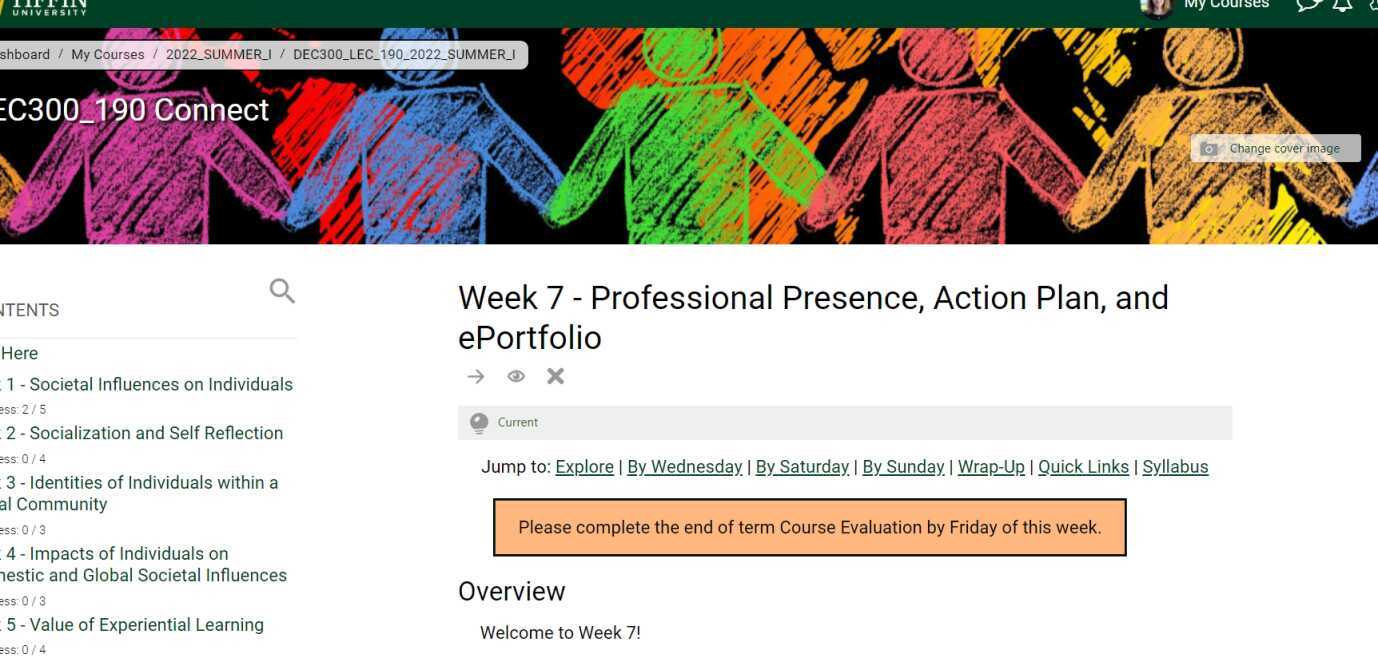 DEC 300 Week 7 Overview 06202022