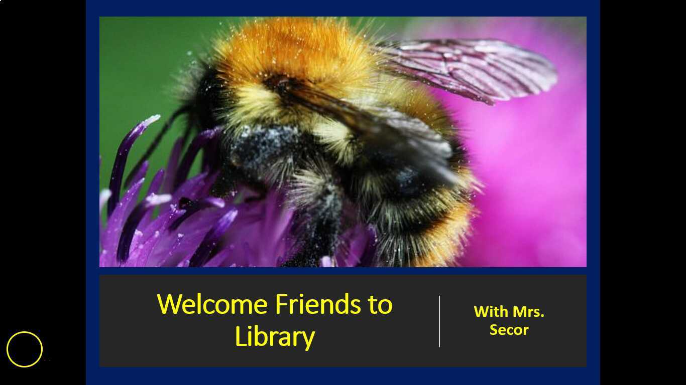 Give Bees A Chance! Part 1