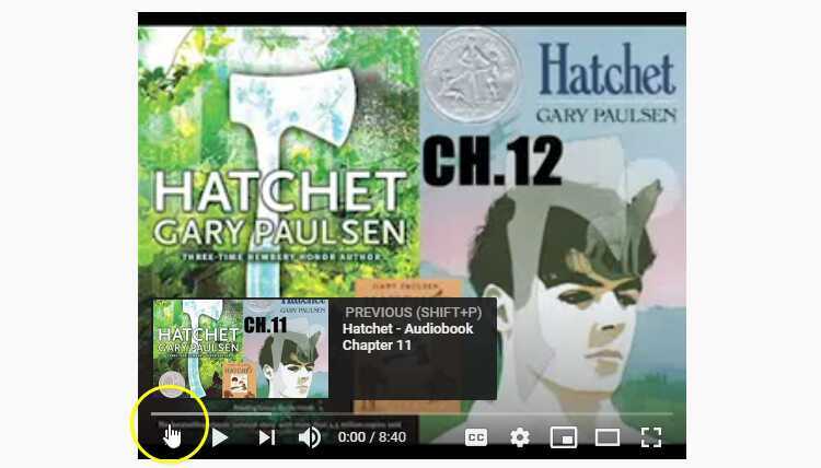 Hatchet chapter 12