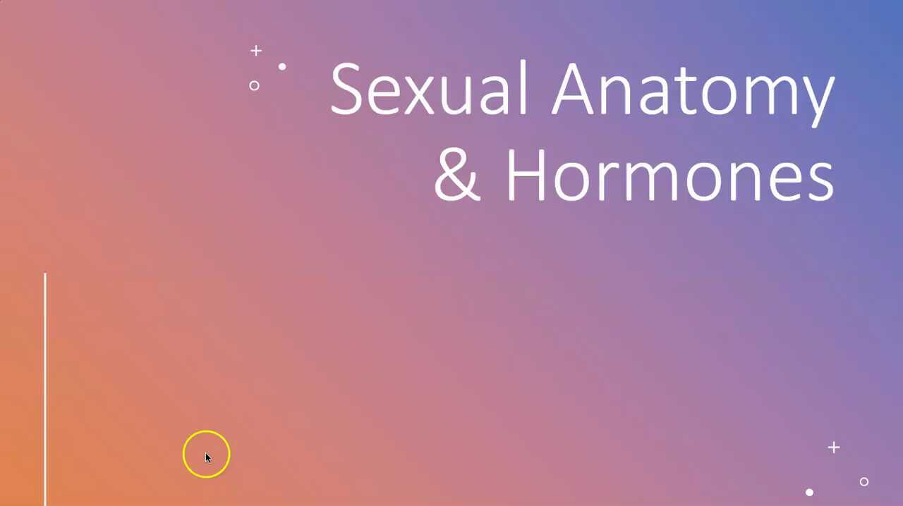 Sexual Anatomy