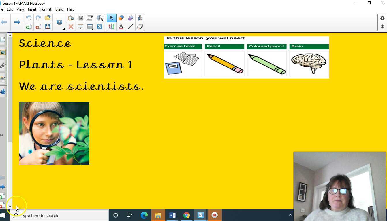 Wednesday 24.02.12 Science (plants)