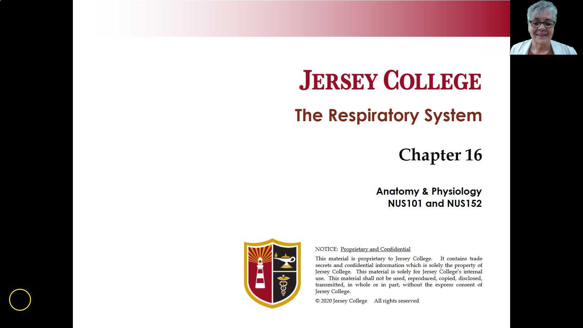 A&P - Chapter 16 - Respiratory System