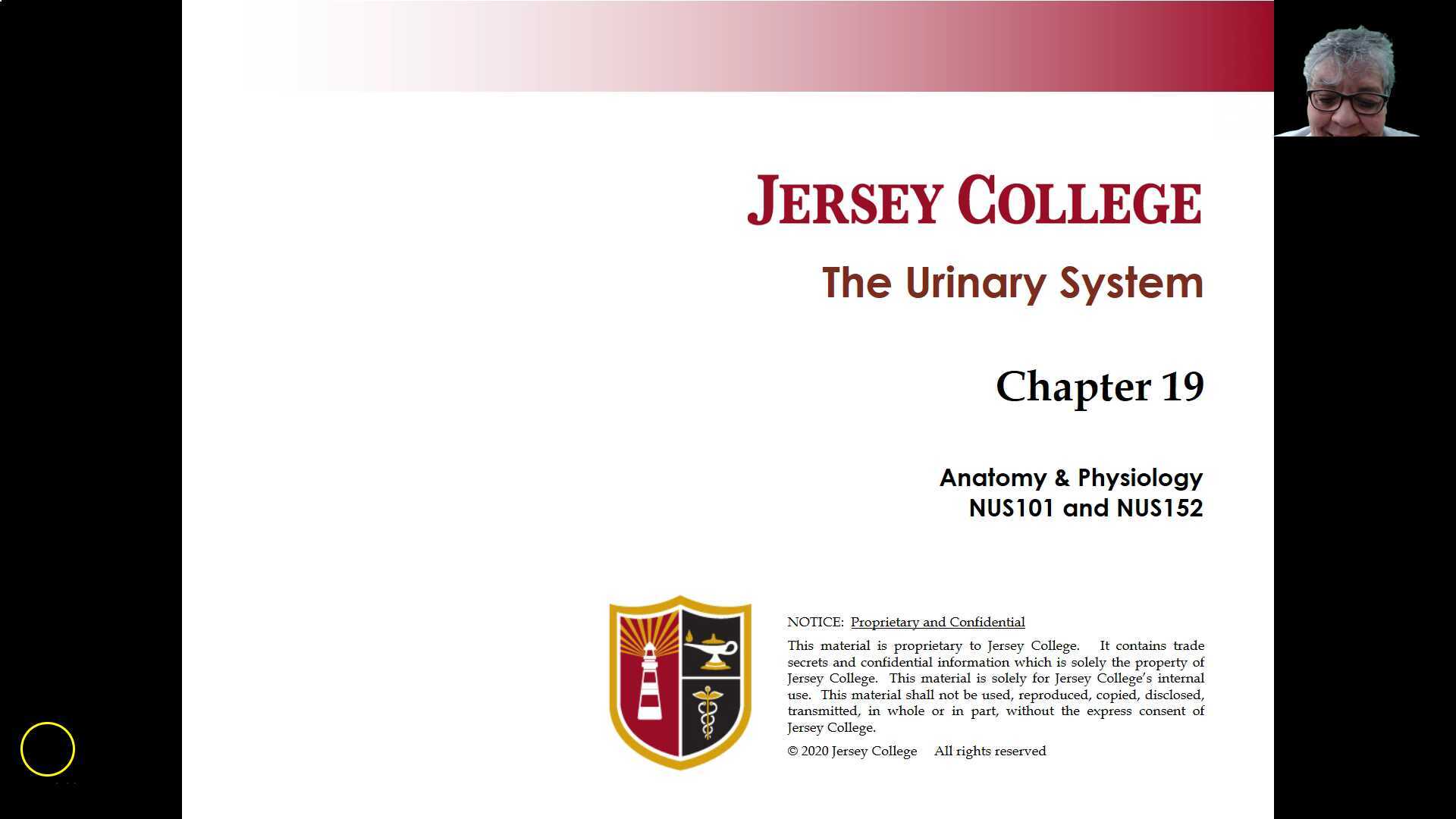 A&P - Chapter 19 - Urinary System