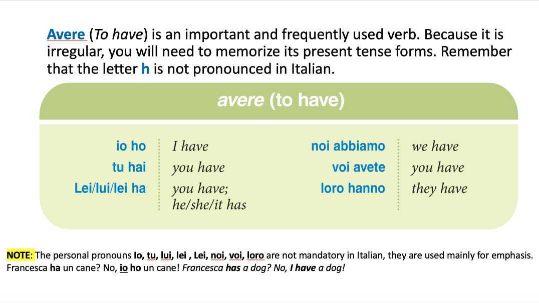 verbo avere