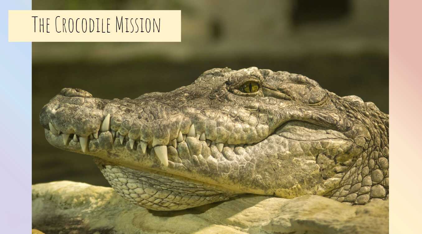 Sing a Long The Crocodile Mission