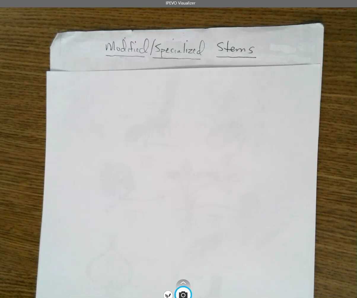 Modified Specialized stems (Video 1 )