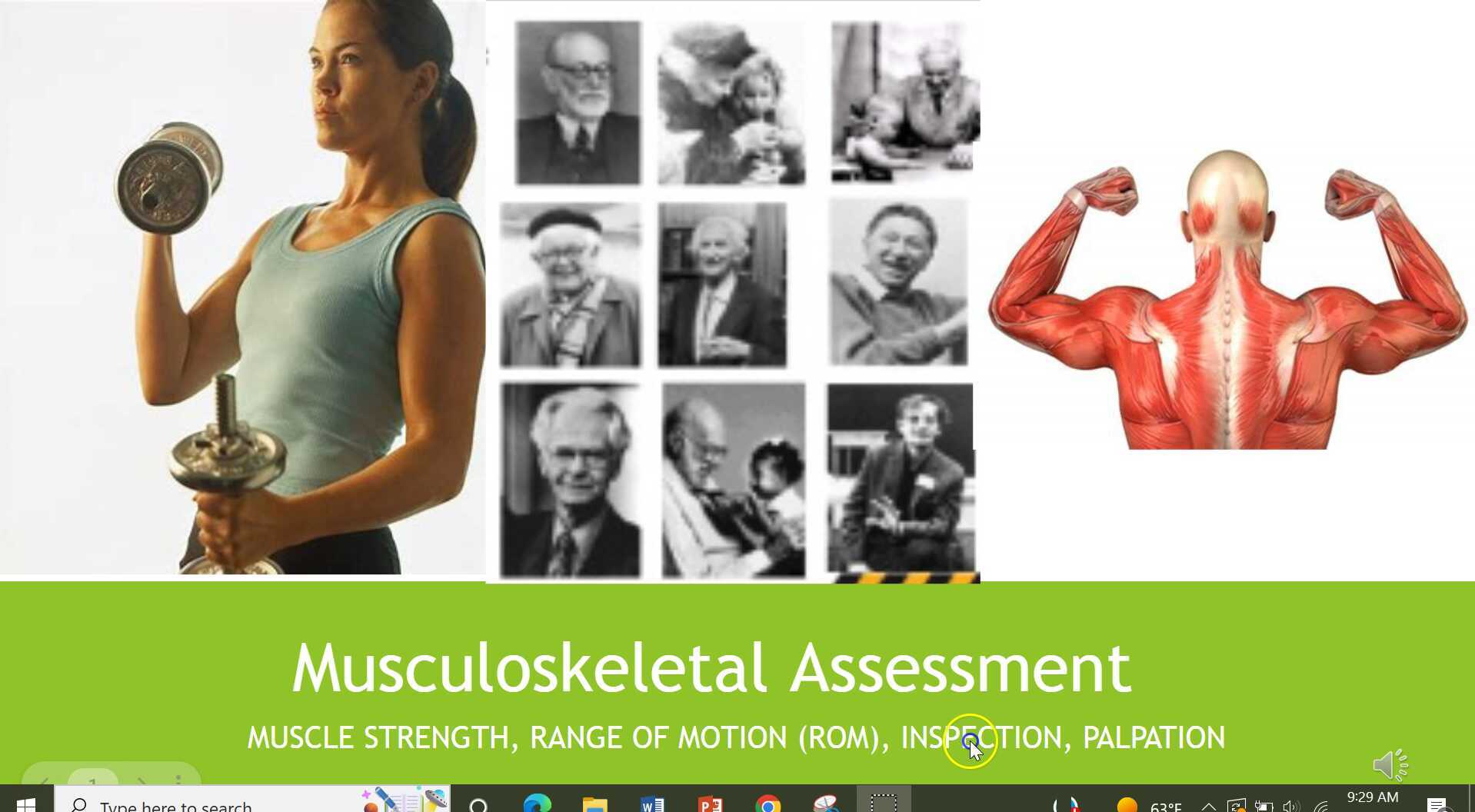 Musculoskeletal System
