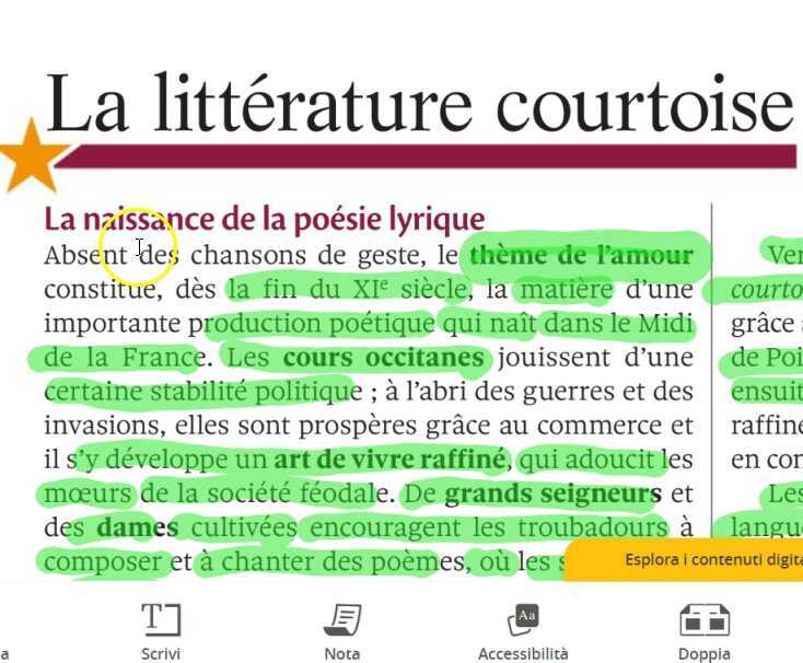 La poésie lyrique et le fin'amor