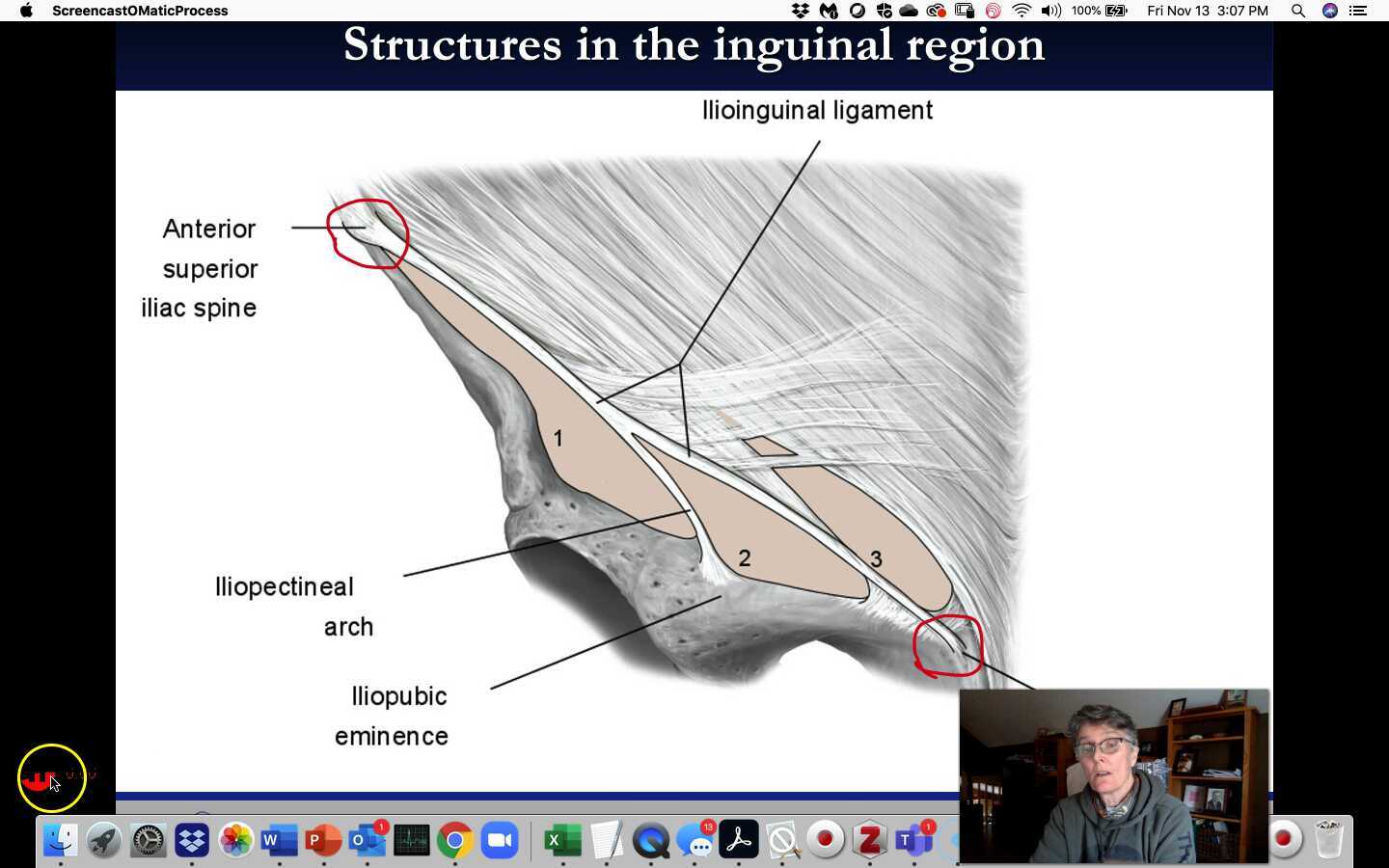 topic 2 prt 5 inguinal region