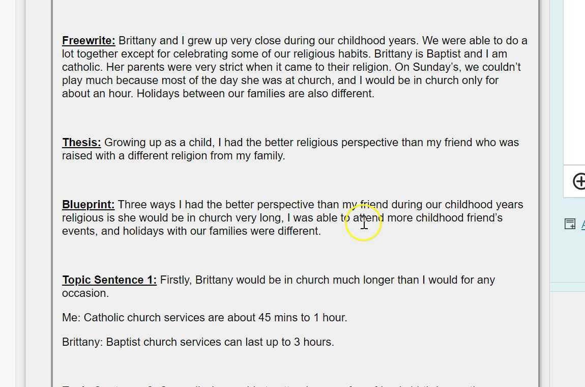 Sarah N. Essay 2 Outline