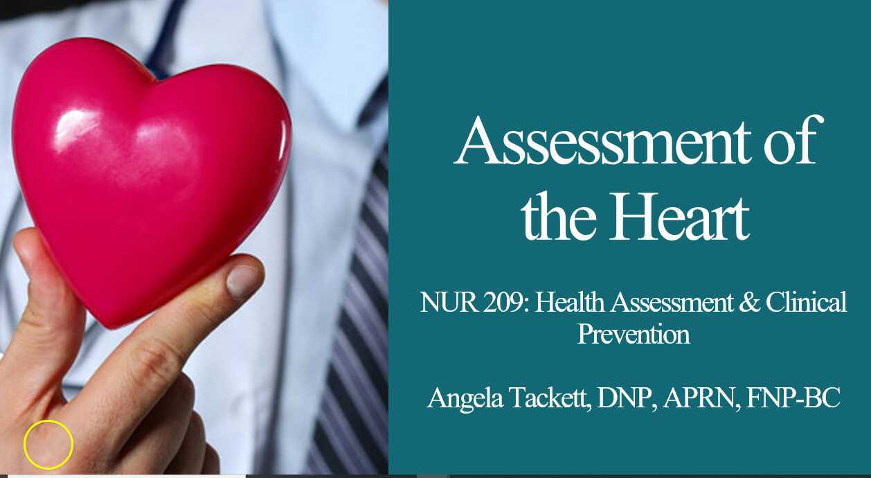 Assessment of the Heart