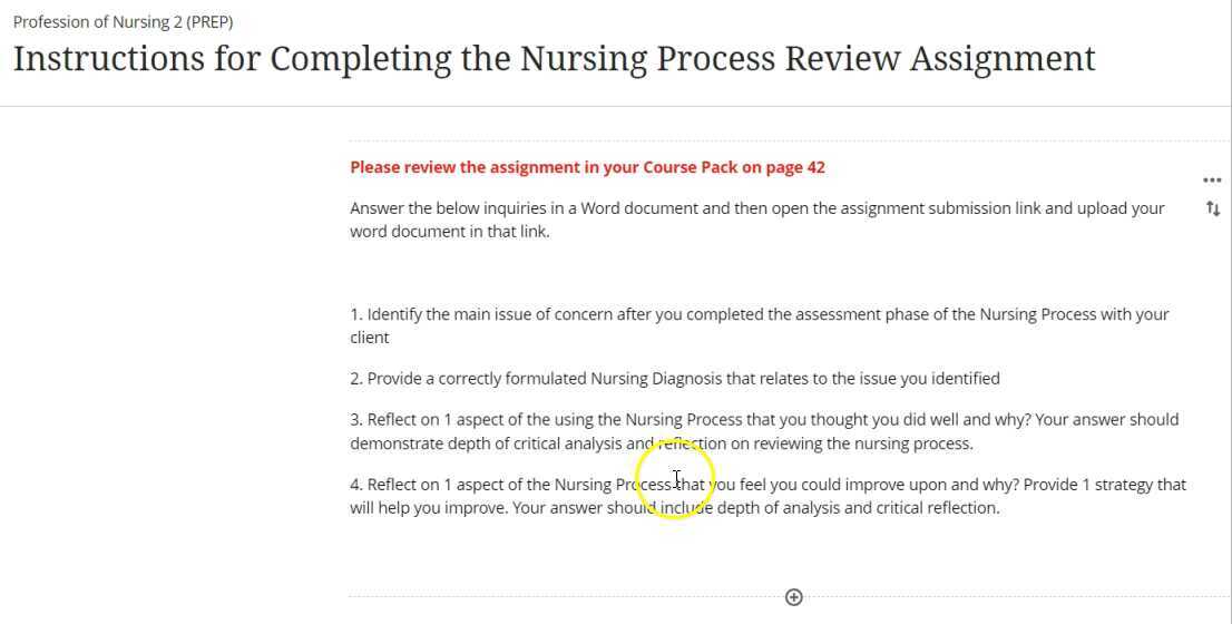 Nursing Process Review Assignment Instructions