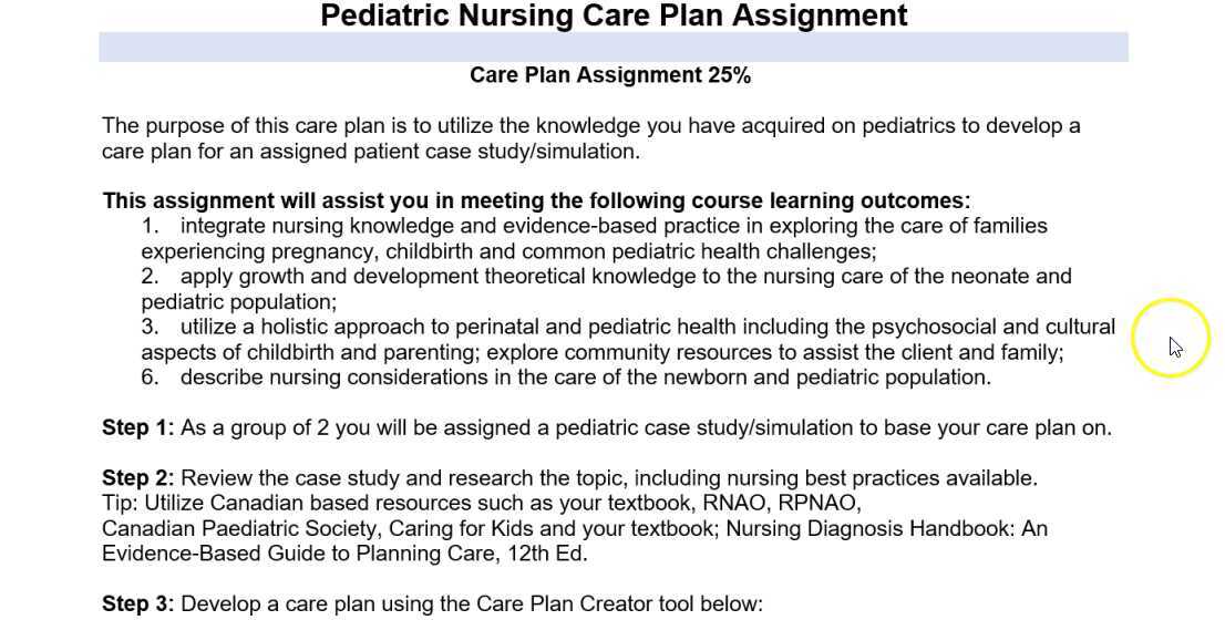 Pairs Care Plan Assignment