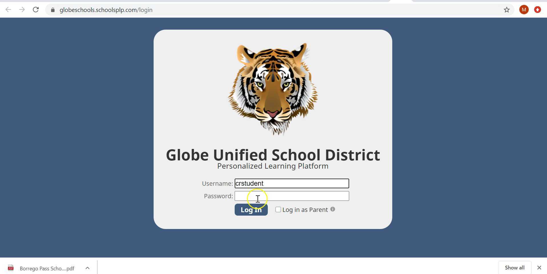 How to work on your PLP course