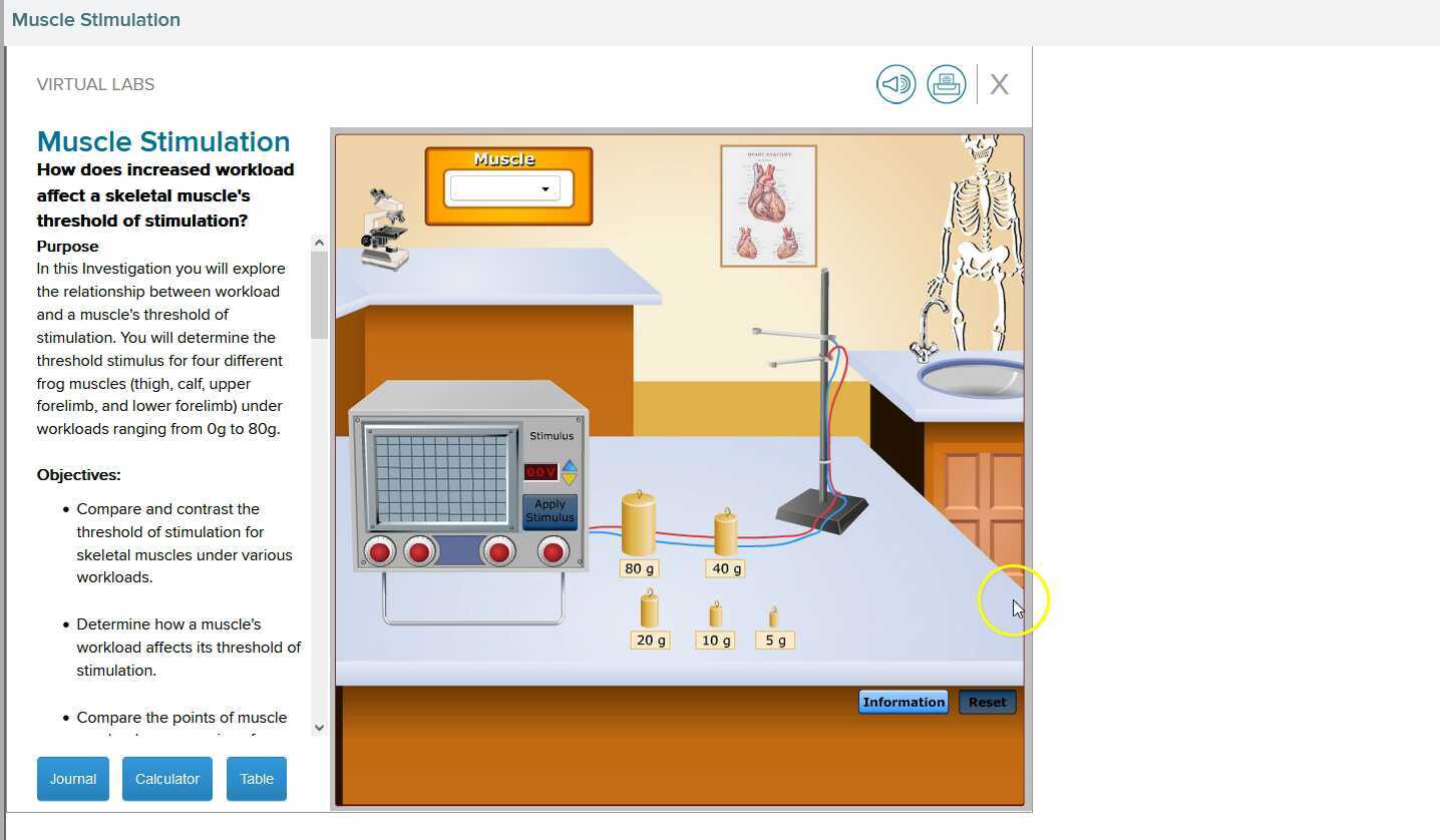 Virtual Muscle Stimulation Alternatve