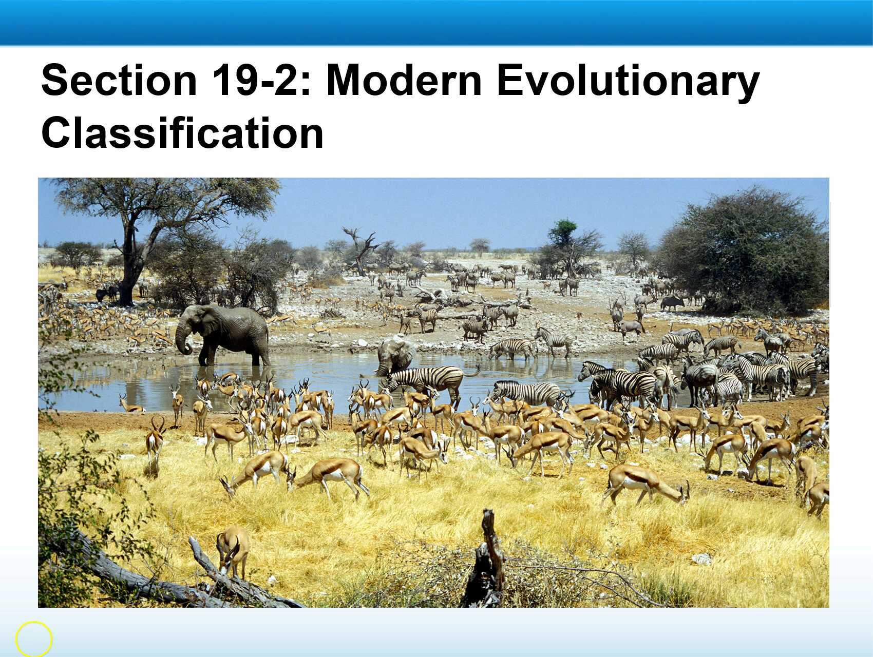 Section 19-2 Phylogeny and Cladistics