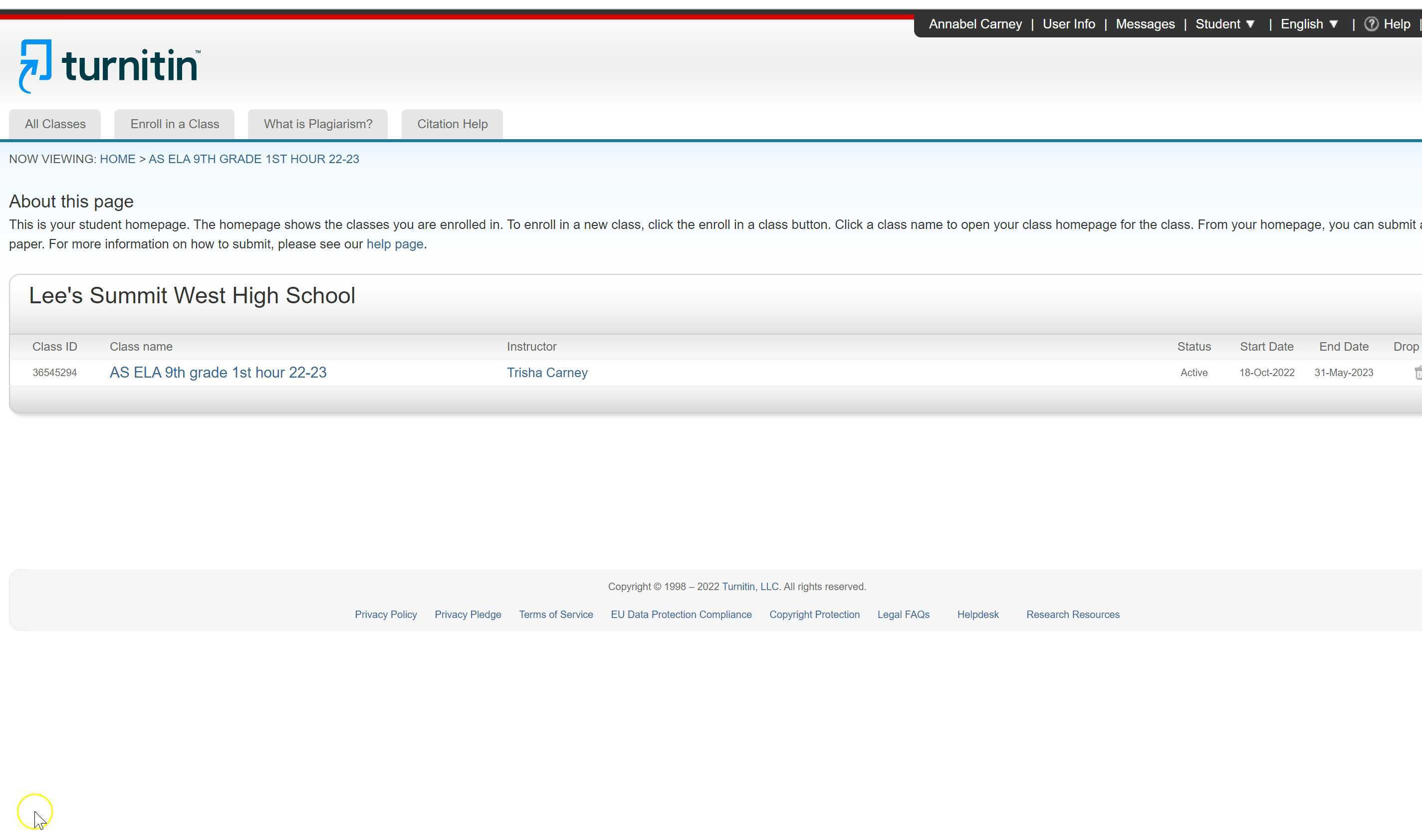 Submitting to turnitin