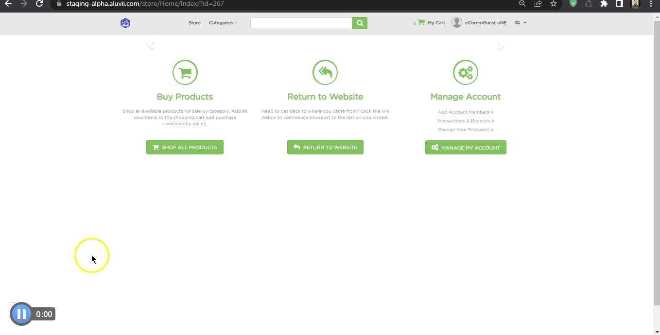 payplan pop up window issue