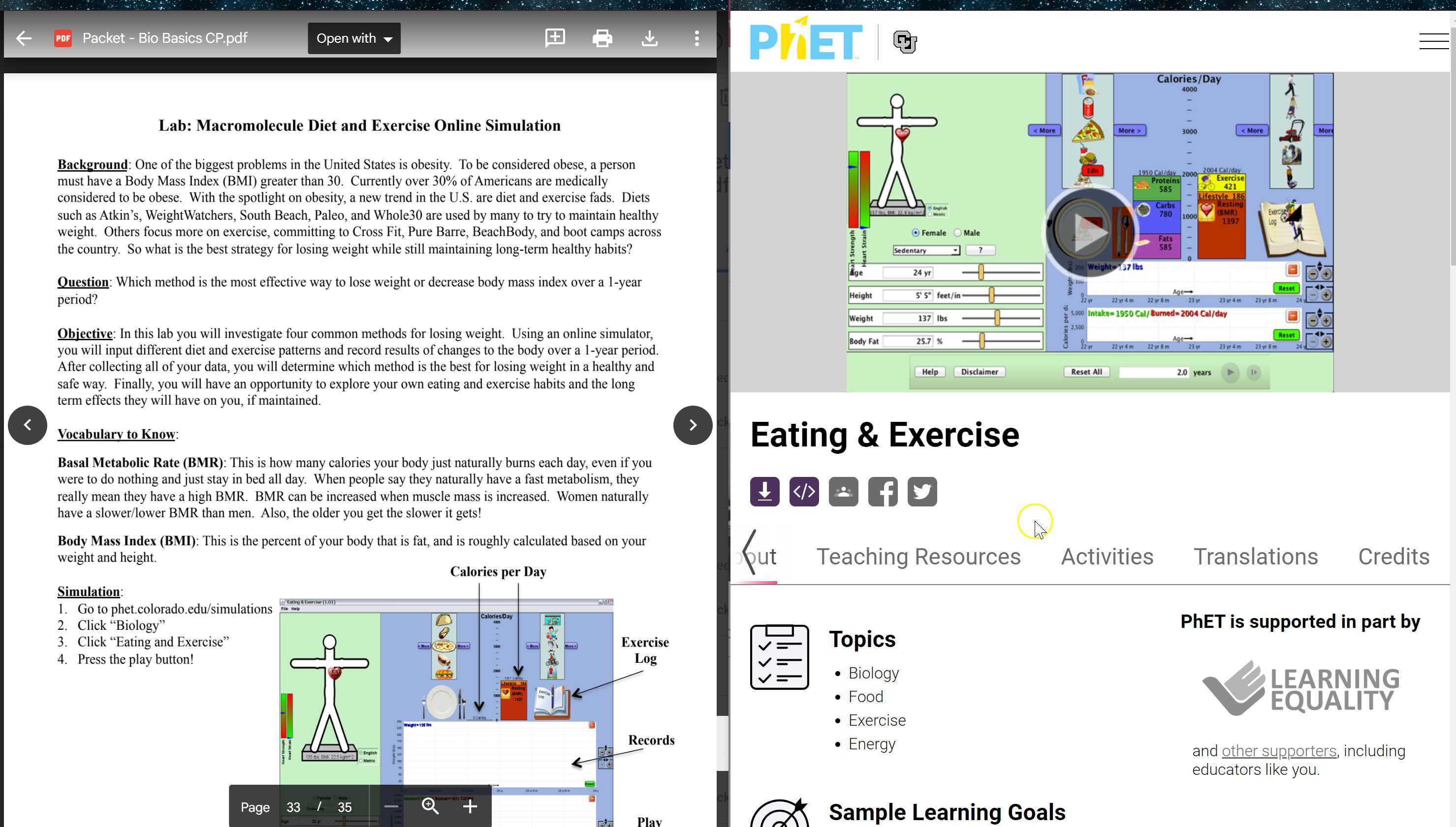 Lab: Macromolecule Diet and Exercise Online Simulation