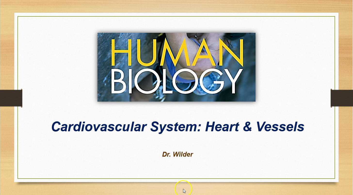 Human Bio--Cardiovascular System: Heart