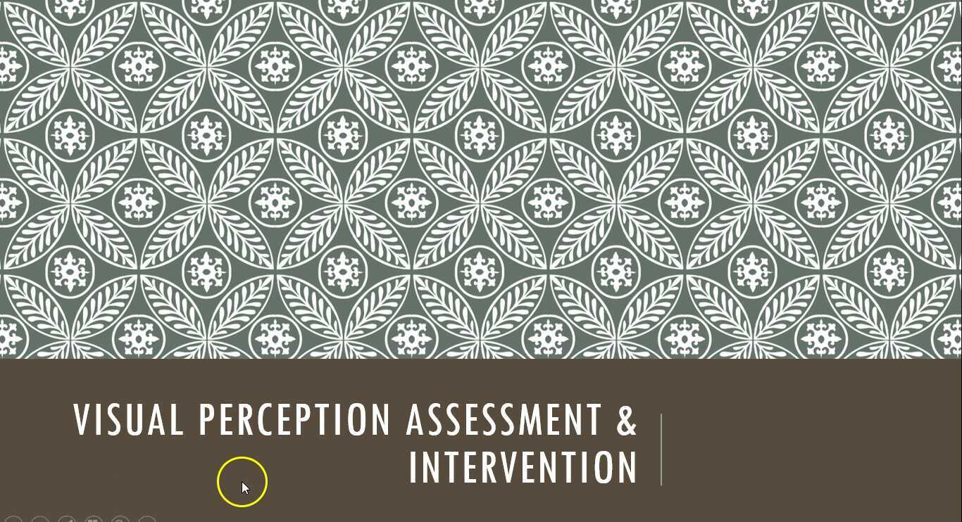 Understanding Visual Perception through Warren's Visual Hierarchy
