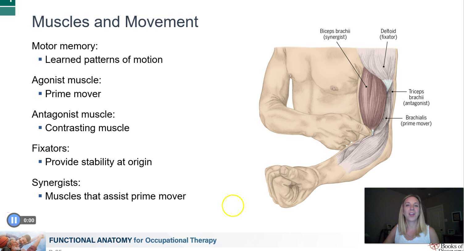 Muscles and Movement in Kinesiology