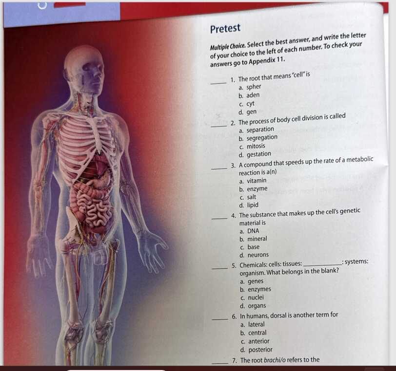Med Term Ch. 2 Lecture