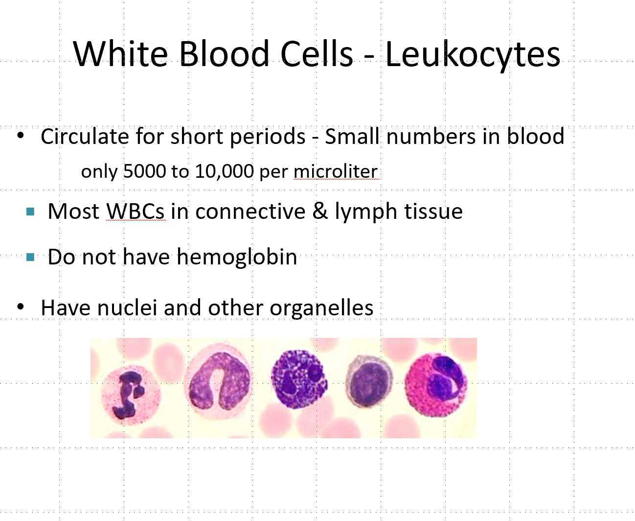 Copy of Lecture #7 WBC & Platelets