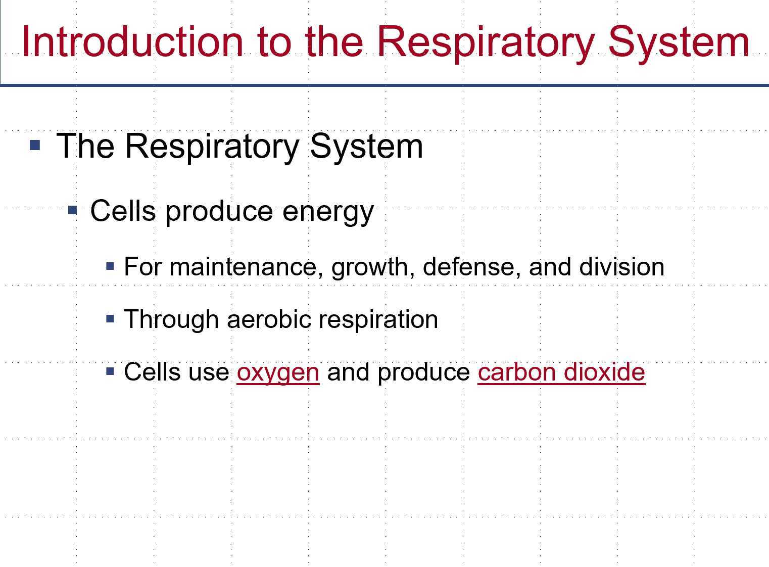 Lecture #27 Respiratory Anatomy