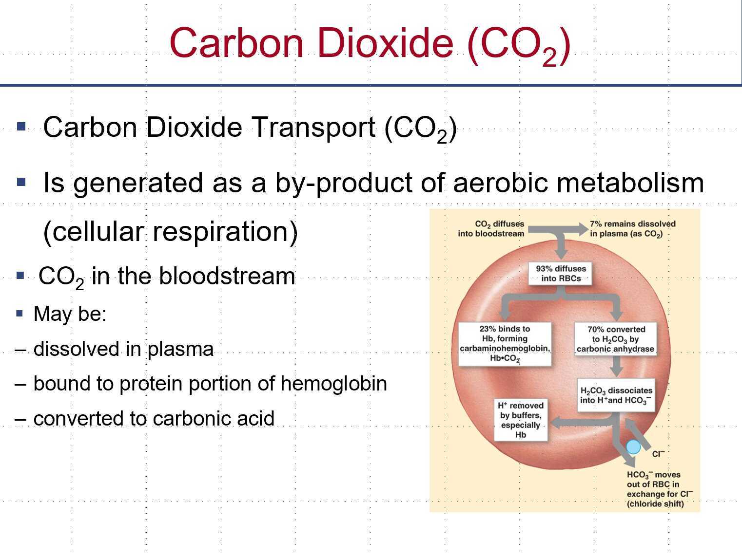Lecture #31 CO2 Transport