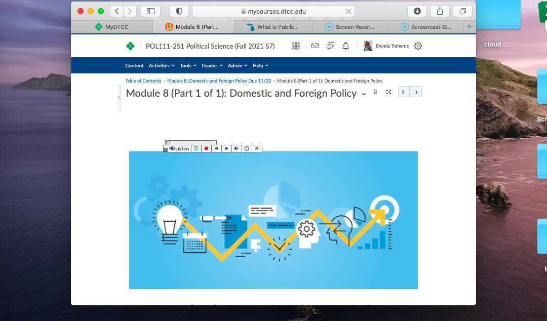 Module 8 Domestic and Foreign Policy Capstone Project