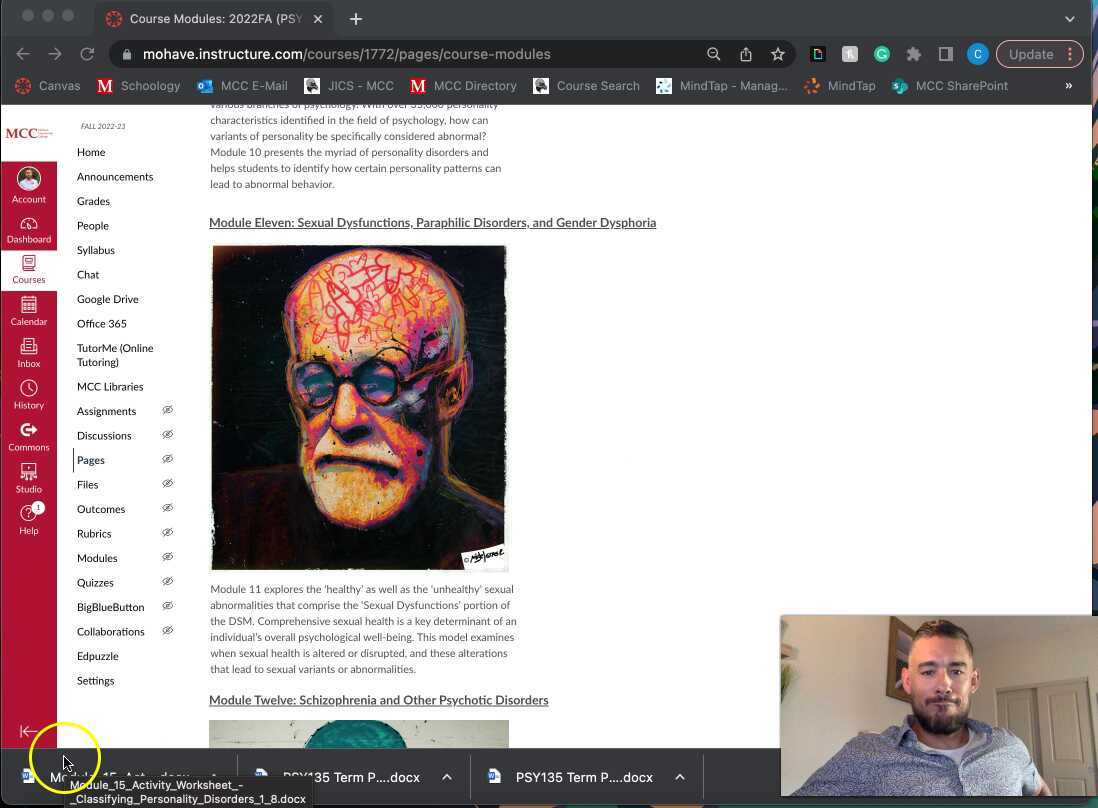 Module 11 Overview (PSY270)