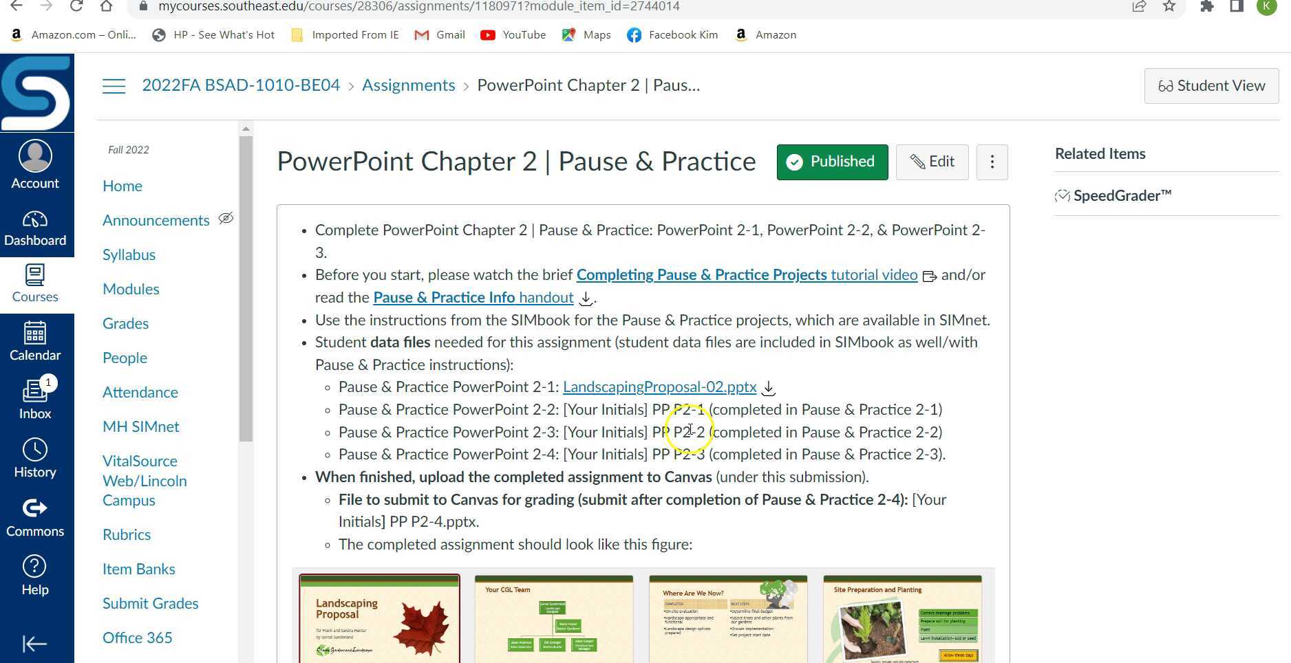 PowerPoint: Pause & Practice 2-1