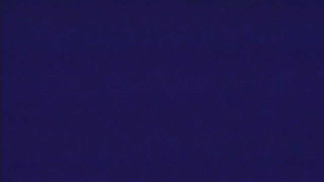 Virgina Brady vs Mimi Hitzman