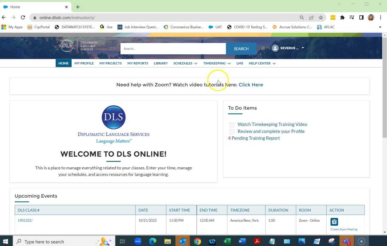 Zoom and DLS Online systems