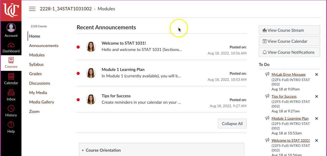 STAT 1031 Sections 2, 3, and 4 Fall 2022 Course Video Tour