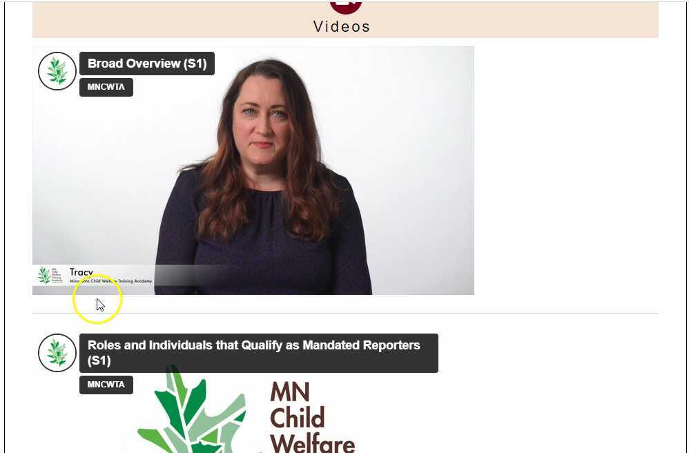 Mandated Reporter: Vulnerable Child