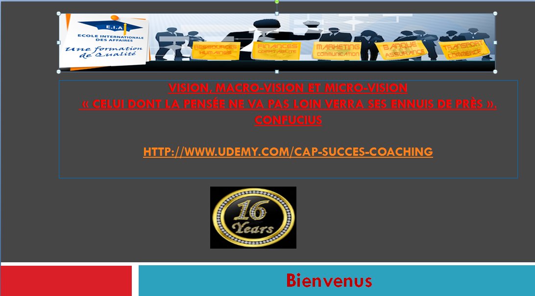 Cap Success - Vision