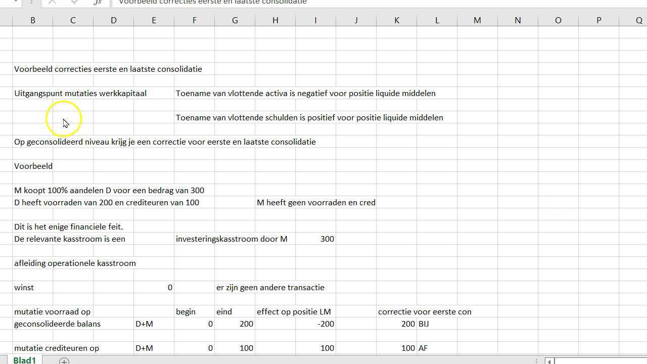 Geconsolideerd kasstroom overzicht
