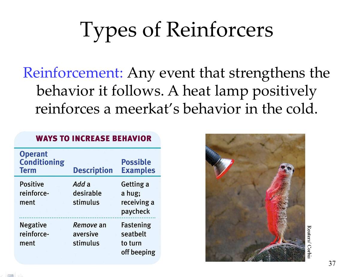 Reinforcement and Punishment