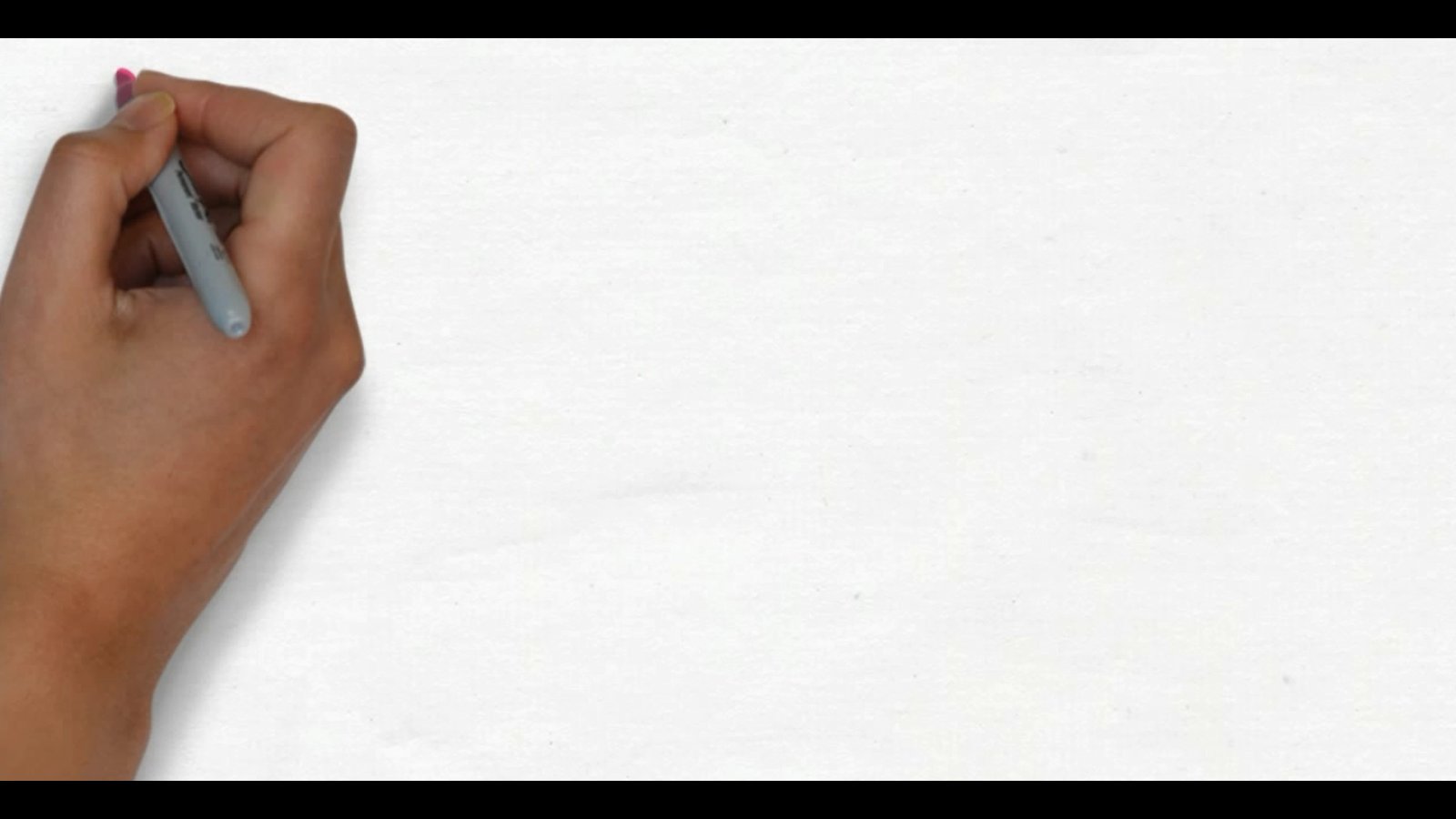 VP 101 - Flex Report Basics