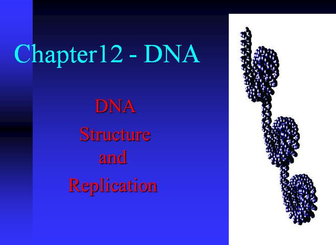 DNA and RNA Structure Ch 12