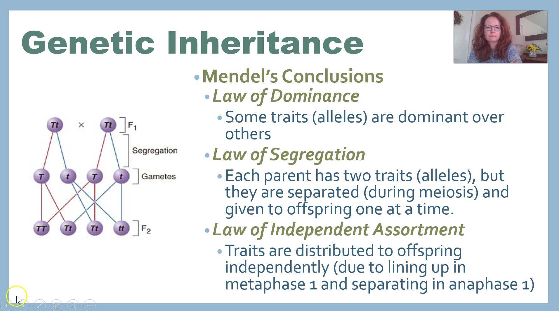 Part 2: Gregor Mendel & Genetics