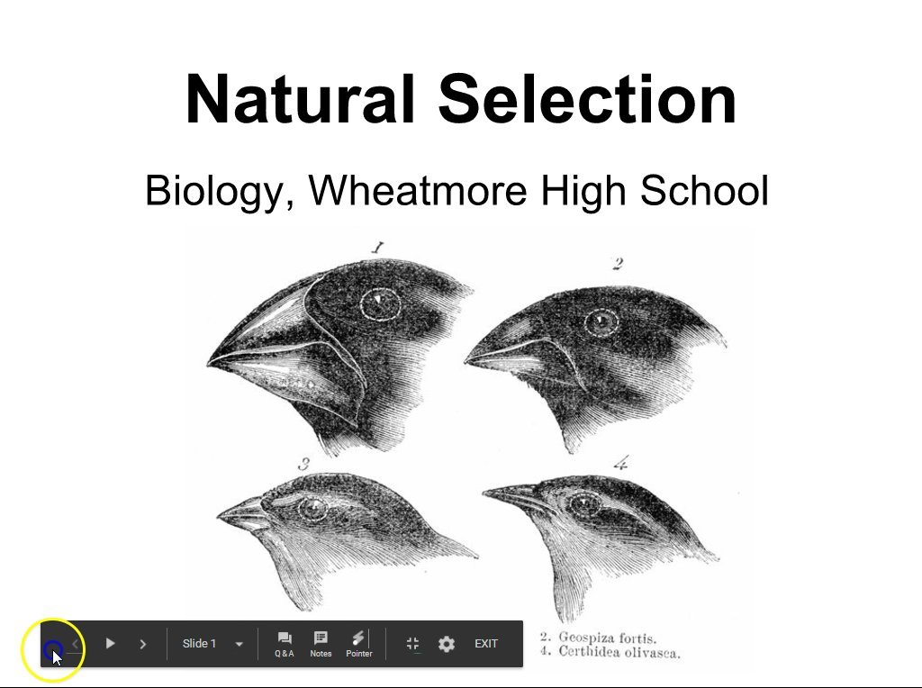 Biology: Natural Selection