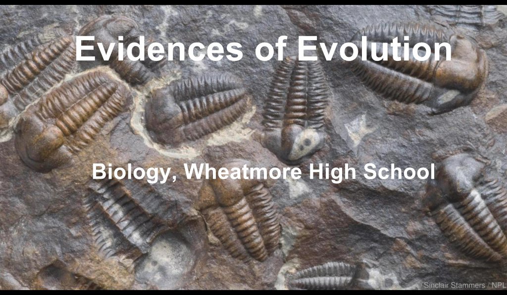 Biology: Evidences of Evolution