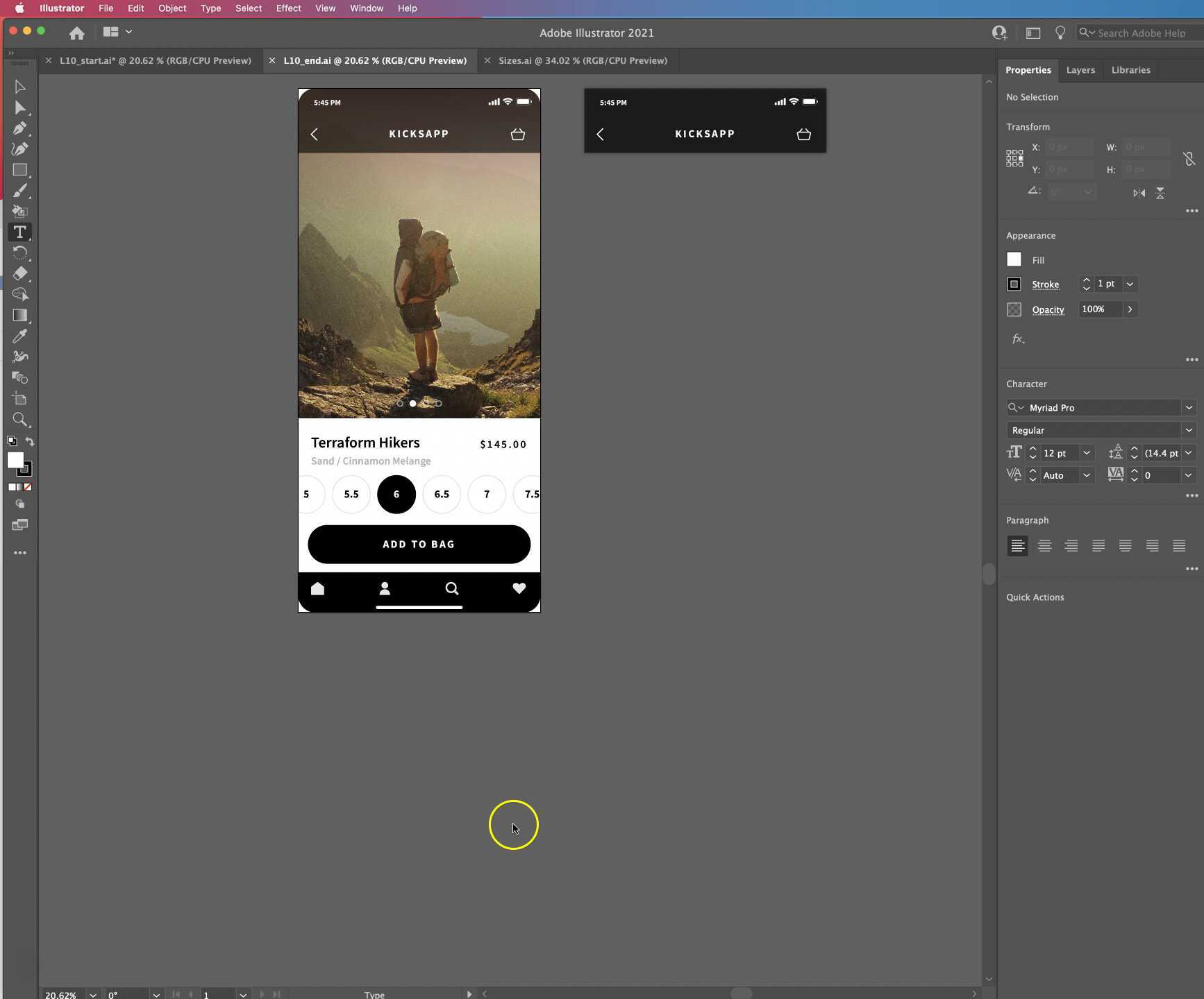 Illustrator 2021 Lesson 10 Part 1