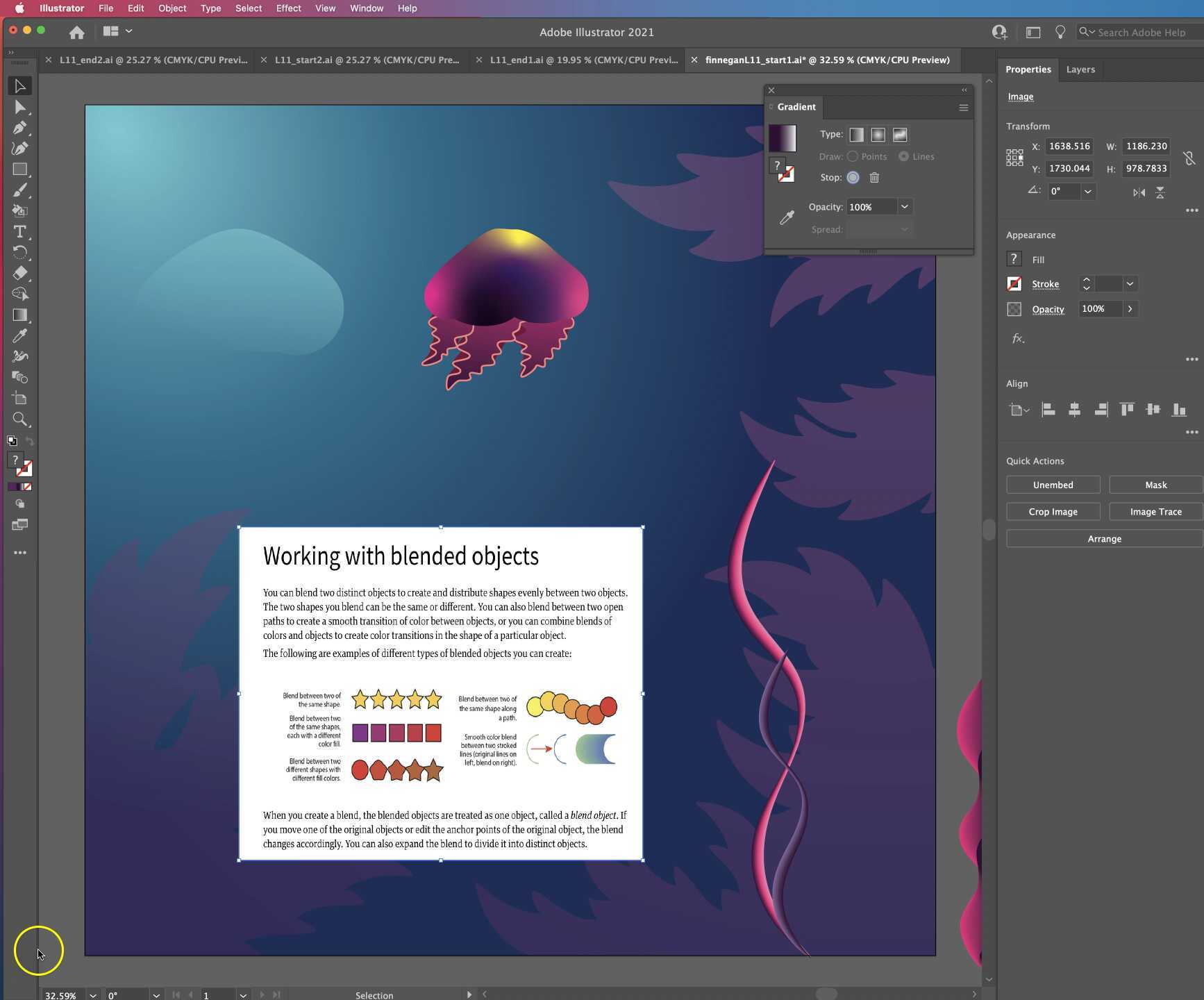 Illustrator 2021 Lesson 11 Part 3