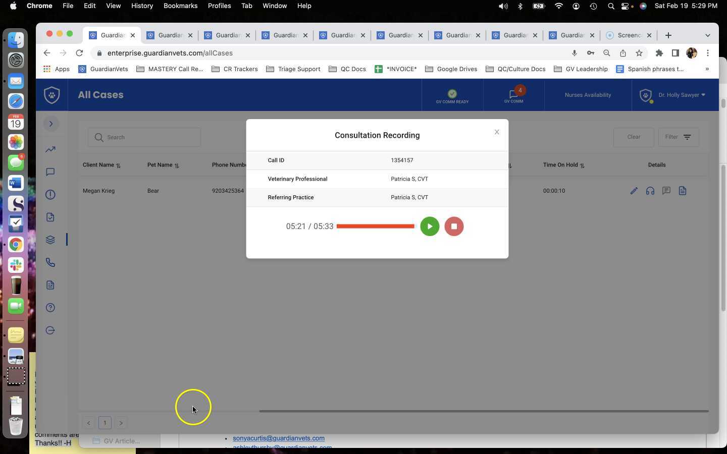 Customer Service Parameters and Audio Examples