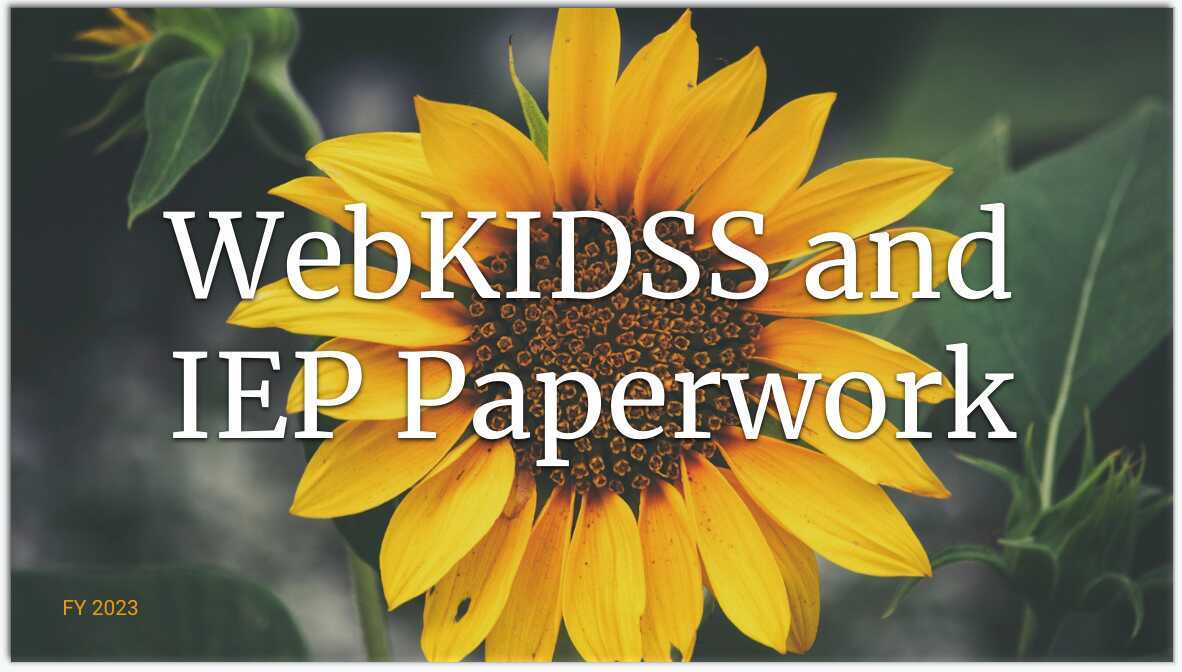 WebKidss and IEP Paperwork