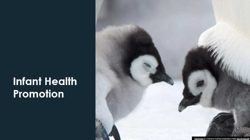 Infant health promotion F22